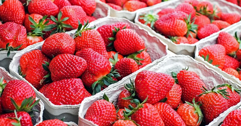 Lidl : Fraises Gariguette en barquette de 250g à 2,19€
