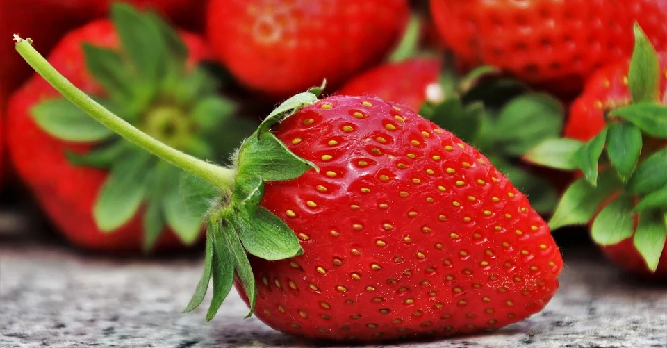 Lidl : Barquette de 500g de fraises origine France à 2,49€