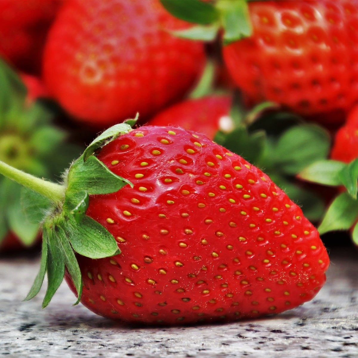Lidl : Fraises Gariguette en barquette de 250g à 2,19€